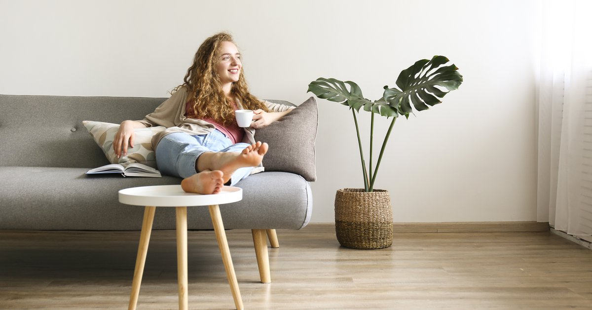 Verified and furnished rents by Spotahome - IBS
