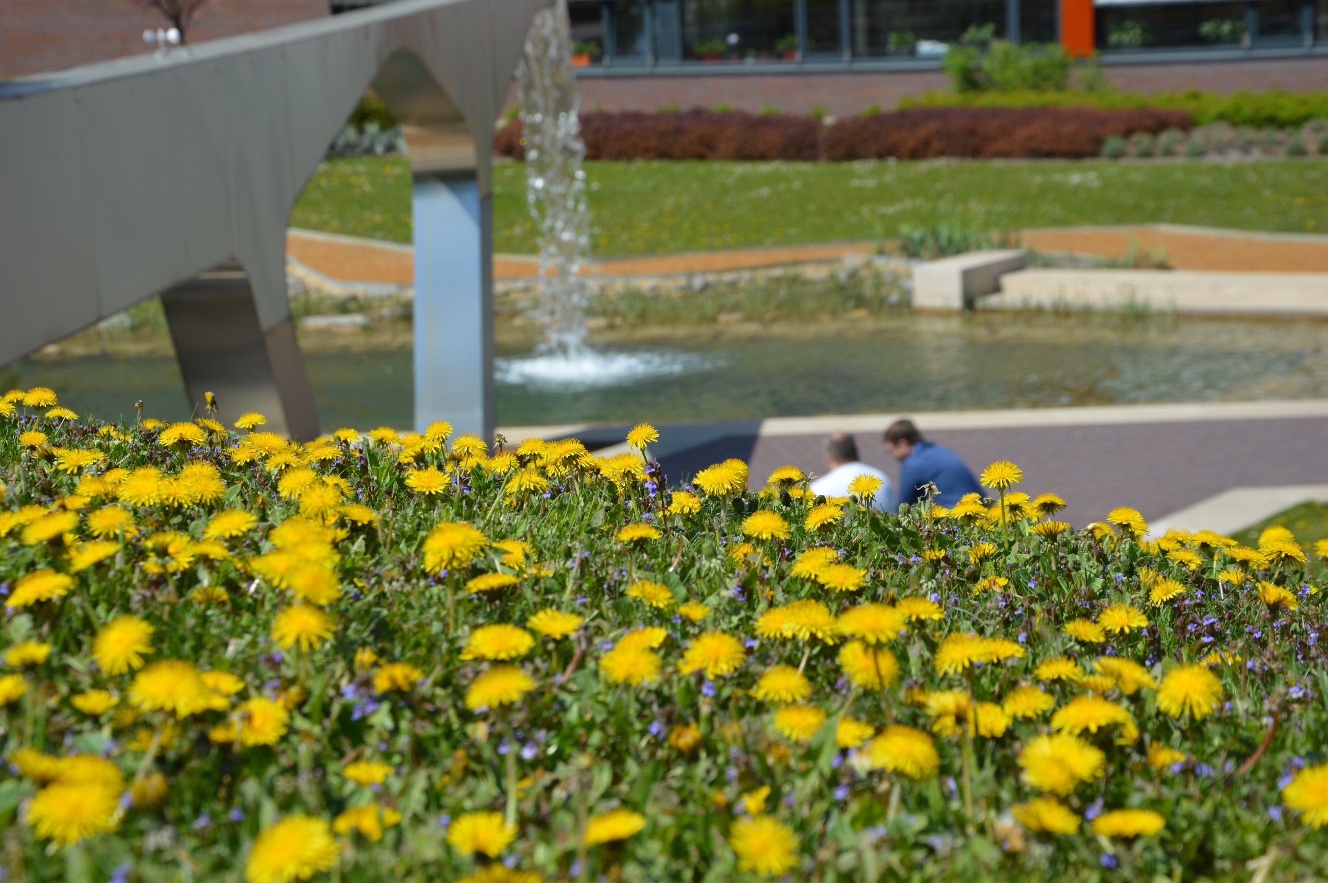 Spring on Campus - IBS