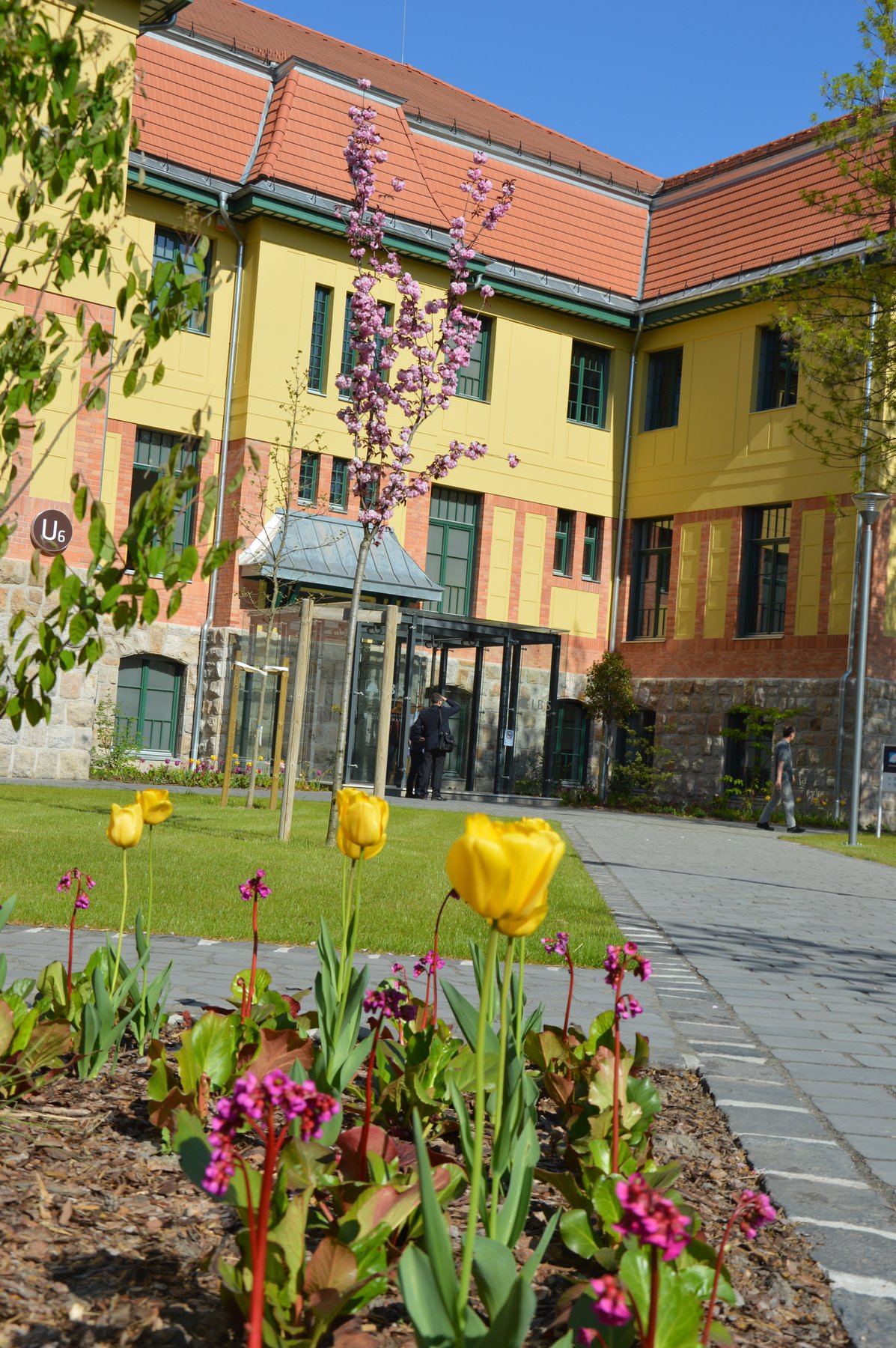 Spring on Campus - IBS