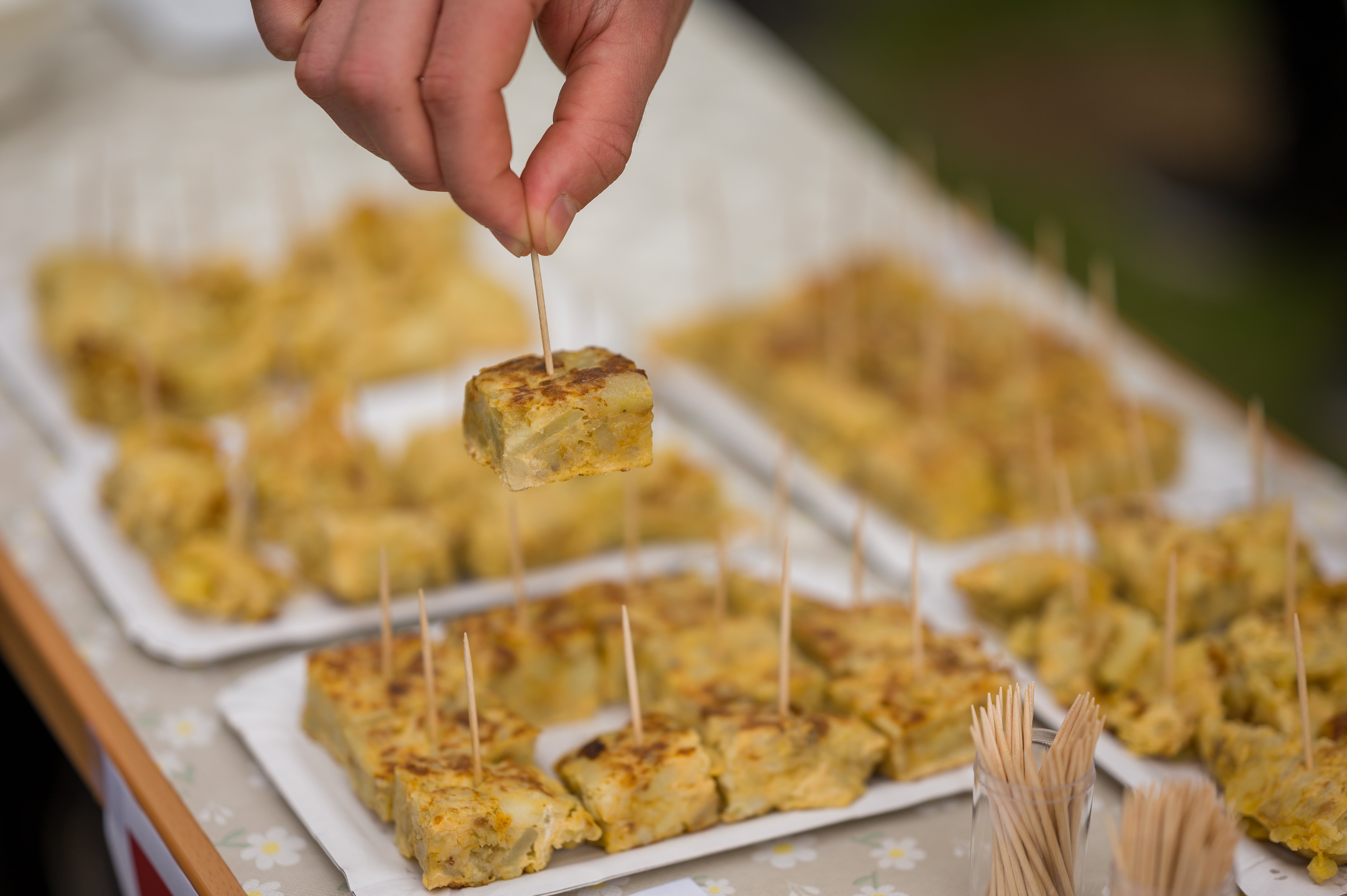 International Food Tasting Day 2023 - IBS